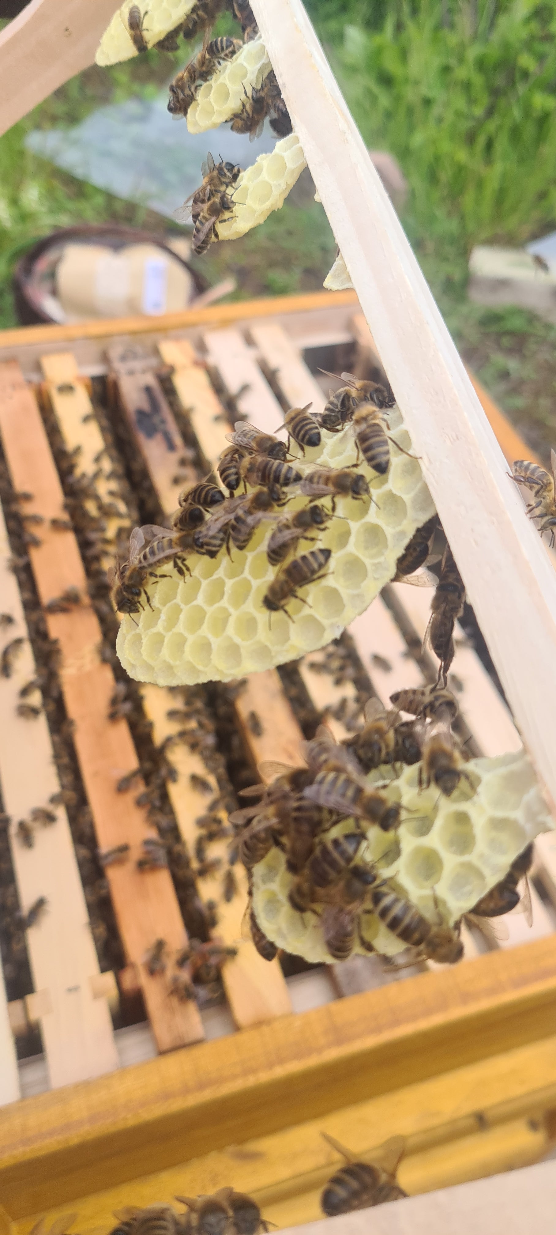 Über uns – BeesyFactory